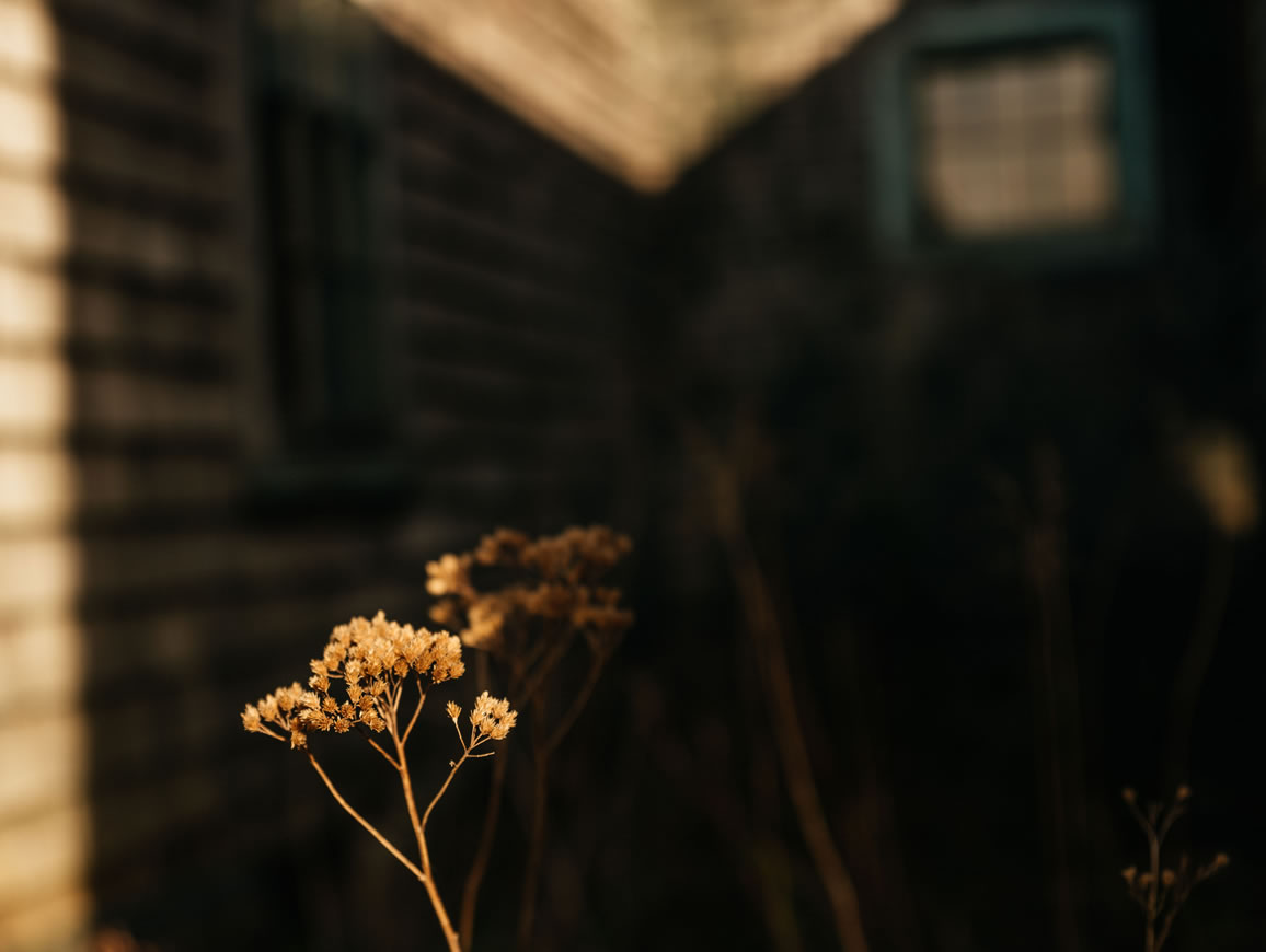 Art, Events, History, And Ecology In Picton, Ontario | Base31