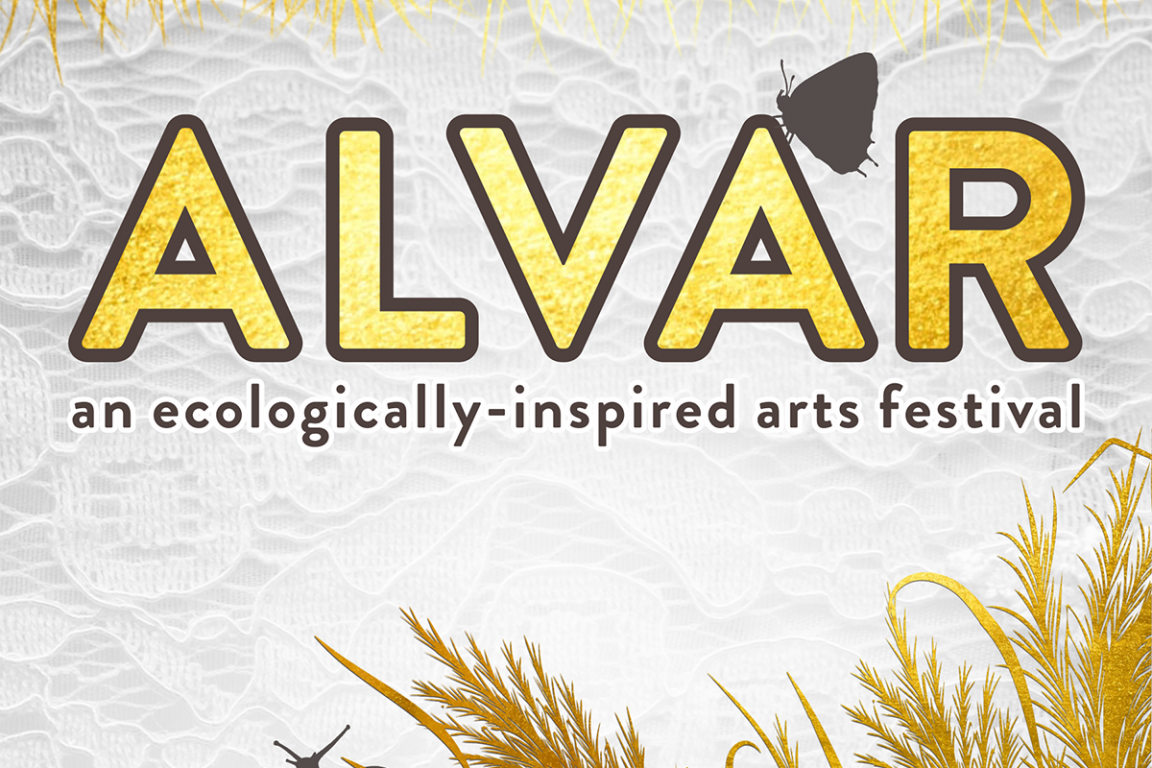 Base31 co-create the future | Base31