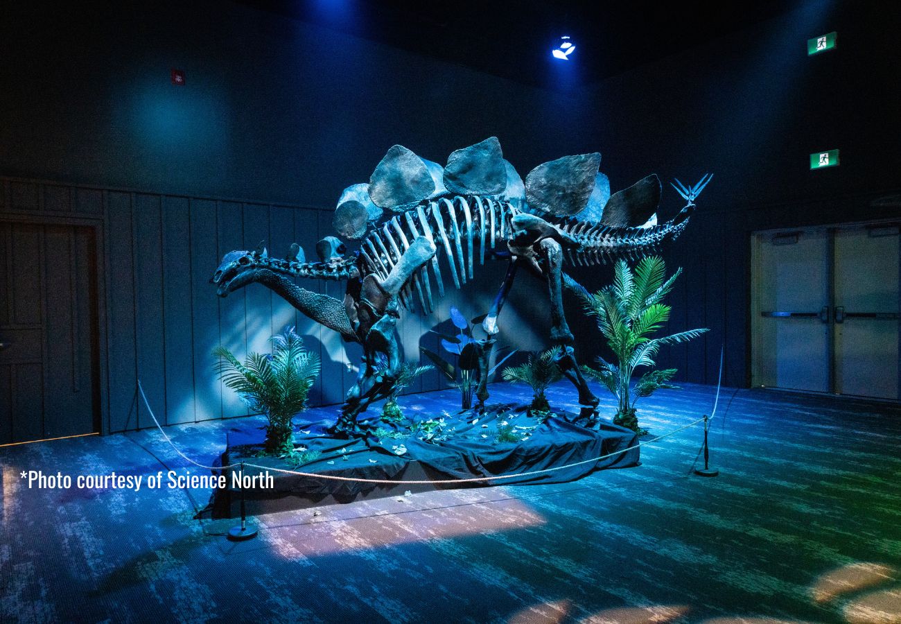 Base31 Co-Create The Future | Concert Venues Ontario